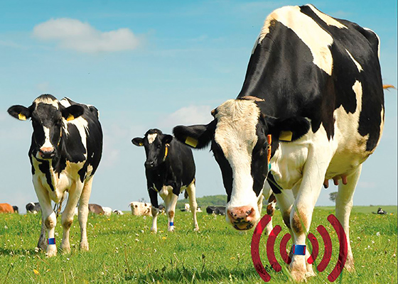 Bovec | Votre partenaire dans le succès